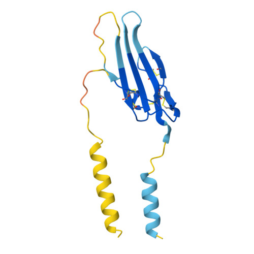 RCSB PDB - AF_AFP35459F1: Computed structure model of Lymphocyte antigen 6D