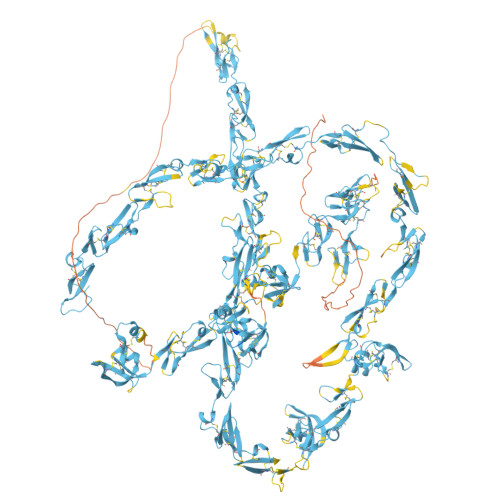 RCSB PDB - AF_AFP35555F1: Computed structure model of Fibrillin-1