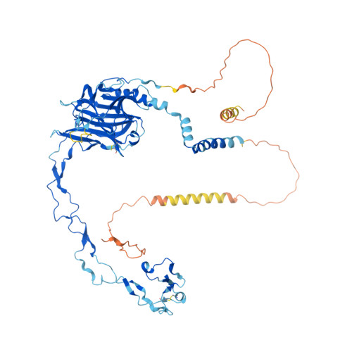 RCSB PDB - AF_AFP35564F1: Computed structure model of Calnexin