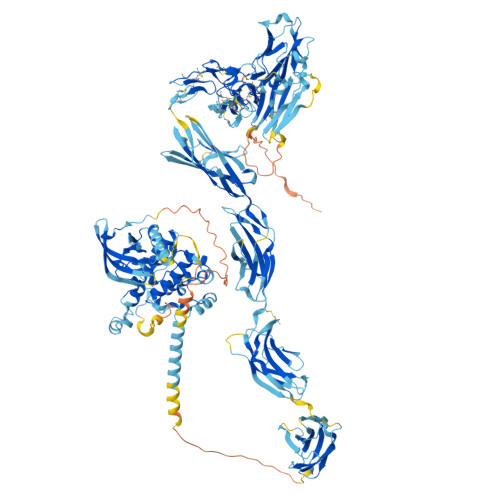 RCSB PDB - AF_AFP35590F1: Computed structure model of Tyrosine-protein ...