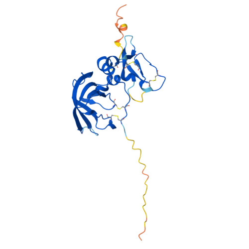 RCSB PDB - AF_AFP35625F1: Computed structure model of Metalloproteinase ...