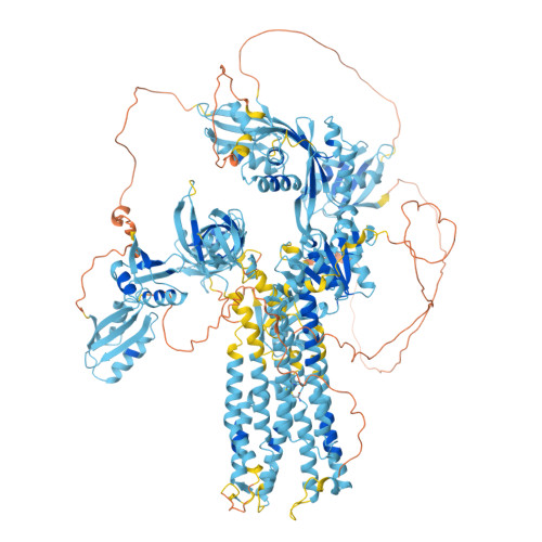 RCSB PDB - AF_AFP35670F1: Computed structure model of Copper ...