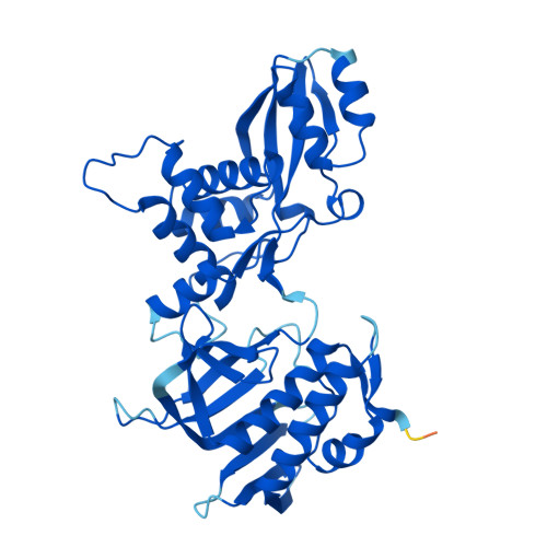 RCSB PDB - AF_AFP36433F1: Computed structure model of Type-2 ...