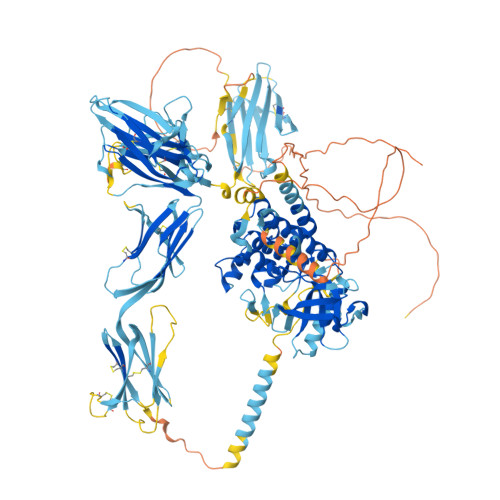 RCSB PDB - AF_AFP36888F1: Computed structure model of Receptor-type ...
