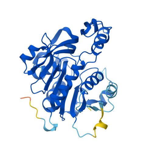 RCSB PDB - AF_AFP37413F1: Computed structure model of Homoserine O ...