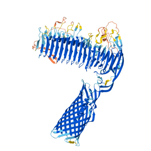 RCSB PDB - AF_AFP38008F1: Computed structure model of Probable outer ...