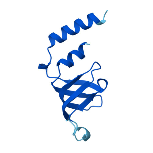 RCSB PDB - AF_AFP38203F1: Computed structure model of U6 snRNA ...