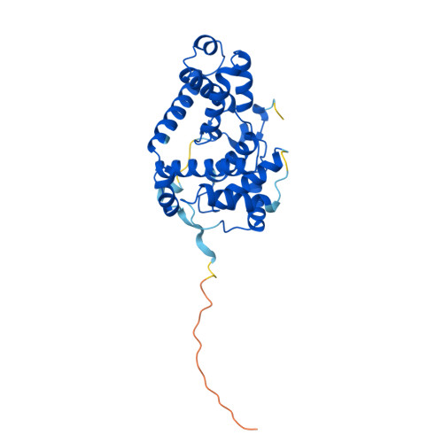 RCSB PDB - AF_AFP39947F1: Computed structure model of Cyclin-C
