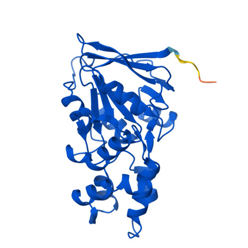 RCSB PDB - AF_AFP41277F1: Computed structure model of Glycerol-1 ...