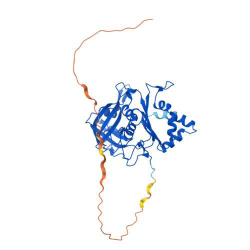 RCSB PDB - AF_AFP41344F1: Computed structure model of Ferredoxin--NADP ...
