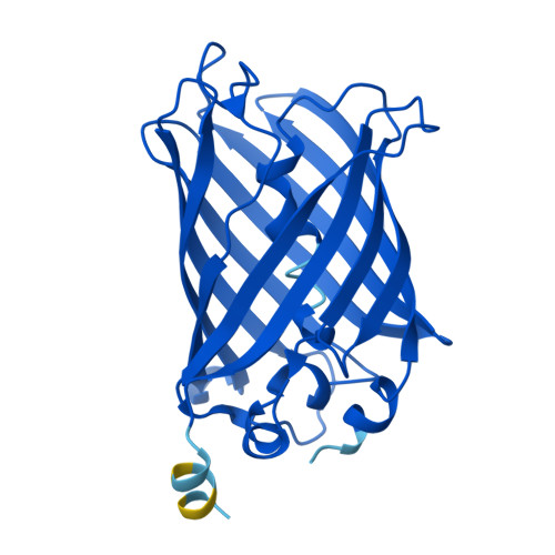 RCSB PDB - AF_AFP42212F1: Computed structure model of Green fluorescent ...