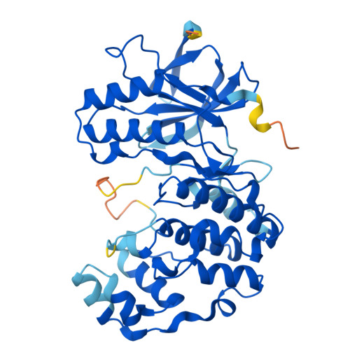 RCSB PDB - AF_AFP47811F1: Computed structure model of Mitogen-activated ...