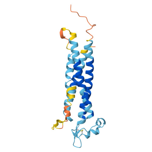 RCSB PDB - AF_AFP48230F1: Computed structure model of Transmembrane 4 ...