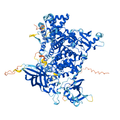 RCSB PDB - AF_AFP48736F1: Computed structure model of ...