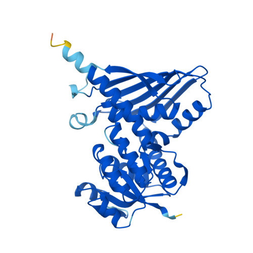 RCSB PDB - AF_AFP49307F1: Computed structure model of Rhizopine ...