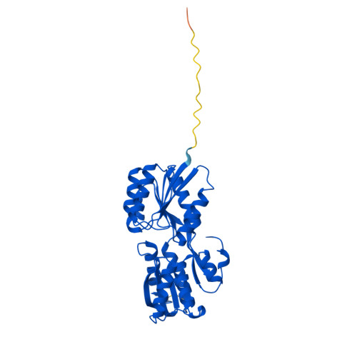RCSB PDB - AF_AFP49308F1: Computed structure model of Putative ...