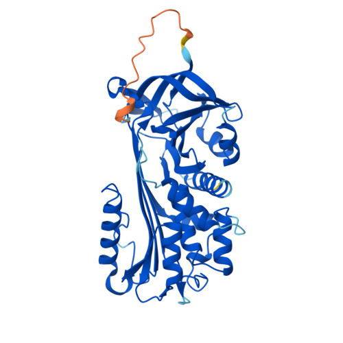 RCSB PDB - AF_AFP50453F1: Computed structure model of Serpin B9
