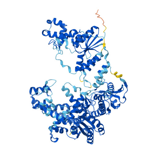 RCSB PDB - AF_AFP52028F1: Computed structure model of DNA polymerase I ...