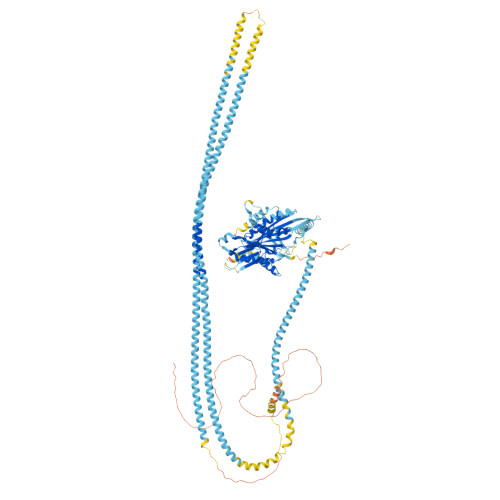 RCSB PDB - AF_AFP52732F1: Computed structure model of Kinesin-like ...