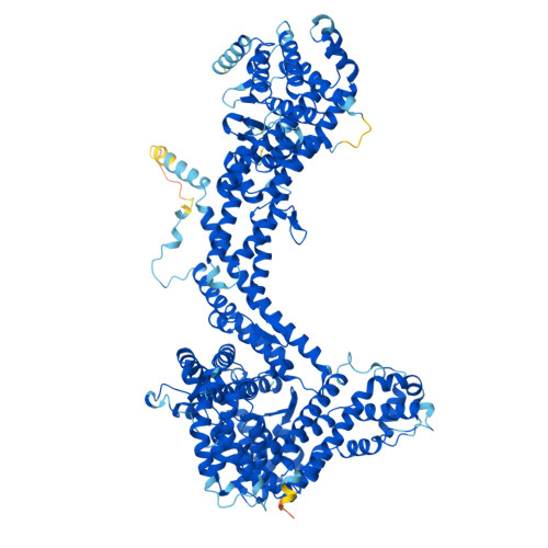 RCSB PDB - AF_AFP55160F1: Computed structure model of Nck-associated ...