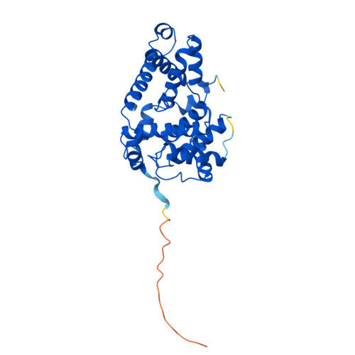 RCSB PDB - AF_AFP55168F1: Computed structure model of Cyclin-C