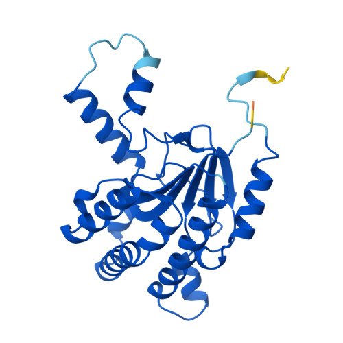 RCSB PDB - AF_AFP55984F1: Computed structure model of Isoprenyl transferase