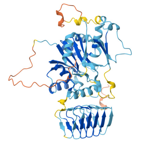 RCSB PDB - AF_AFP56288F1: Computed structure model of Probable ...