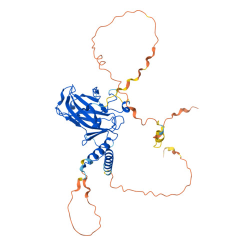 RCSB PDB - AF_AFP56423F1: Computed structure model of Cellular tumor ...