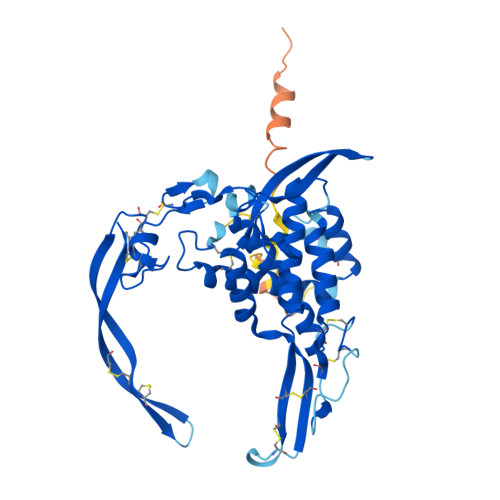 RCSB PDB - AF_AFP56704F1: Computed structure model of Protein Wnt-3a