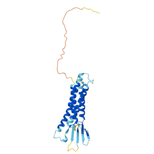 RCSB PDB - AF_AFP56747F1: Computed structure model of Claudin-6