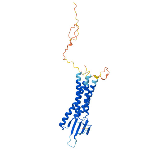 RCSB PDB - AF_AFP56749F1: Computed structure model of Claudin-12
