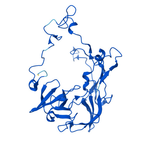 RCSB PDB - AF_AFP60435F1: Computed structure model of 50S ribosomal protein L2