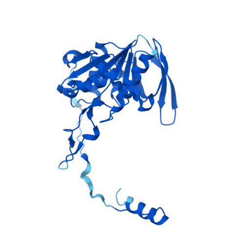 RCSB PDB - AF_AFP60567F1: Computed structure model of Protein FixA