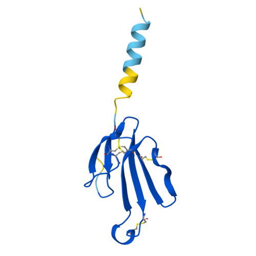RCSB PDB - AF_AFP60615F1: Computed structure model of Alpha-bungarotoxin