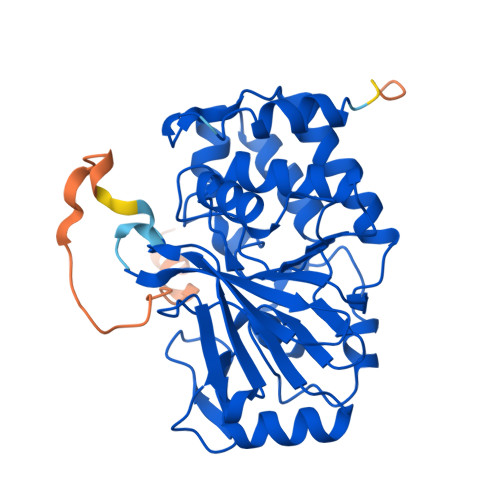 RCSB PDB - AF_AFP62136F1: Computed structure model of Serine/threonine ...