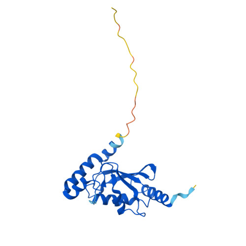 RCSB PDB - AF_AFP62257F1: Computed structure model of Ubiquitin ...