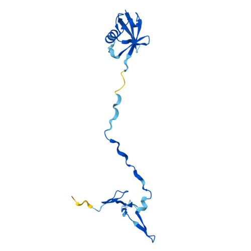 RCSB PDB - AF_AFP62992F1: Computed structure model of Ubiquitin-40S ...