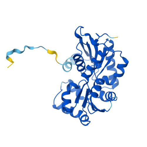 RCSB PDB - AF_AFP63636F1: Computed structure model of Glutamate racemase