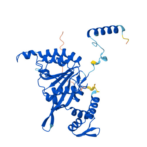 RCSB PDB - AF_AFP65978F1: Computed structure model of Protein RecA
