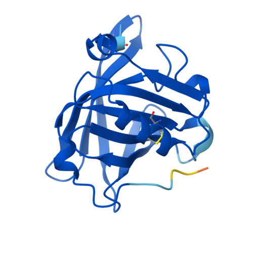 RCSB PDB - AF_AFP67975F1: Computed structure model of Beta-lactoglobulin