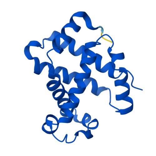 RCSB PDB - AF_AFP68030F1: Computed structure model of Hemoglobin ...