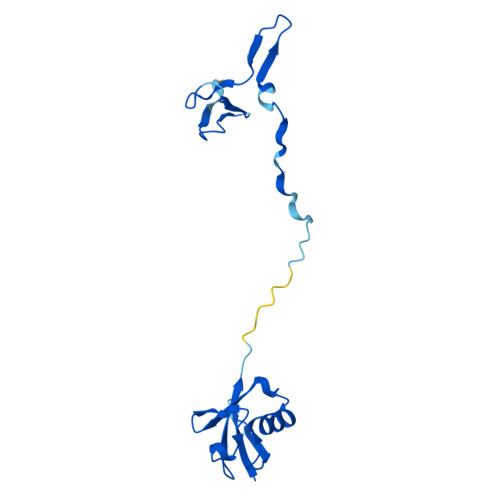 RCSB PDB - AF_AFP69061F1: Computed structure model of Ubiquitin-40S ...