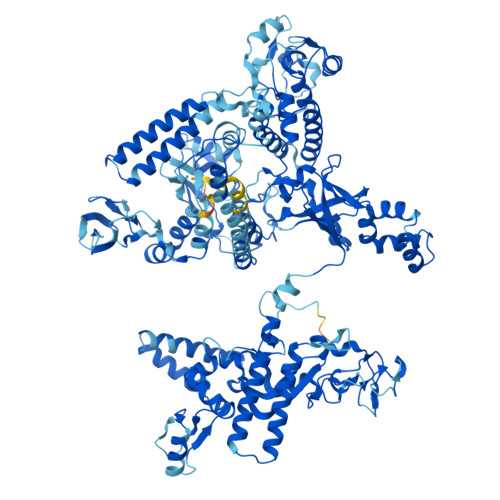RCSB PDB - AF_AFP77839F1: Computed structure model of DNA-directed RNA ...
