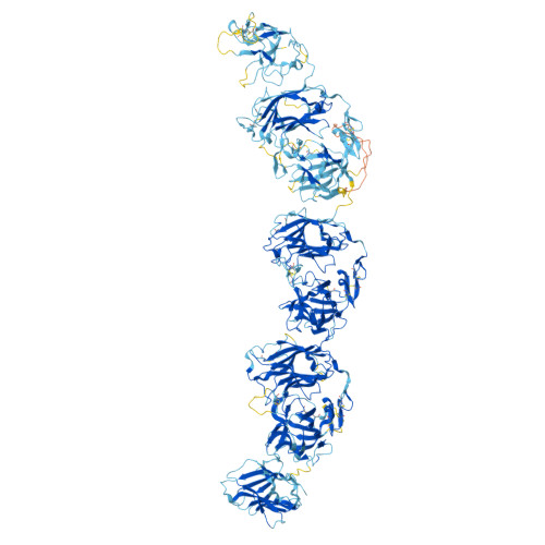 RCSB PDB - AF_AFP78509F10: Computed structure model of Reelin