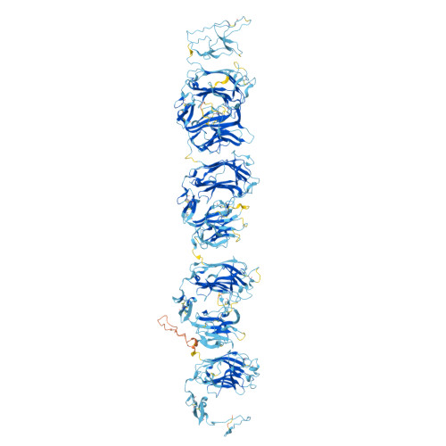 RCSB PDB - AF_AFP78509F6: Computed structure model of Reelin