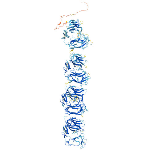 RCSB PDB - AF_AFP78509F7: Computed structure model of Reelin