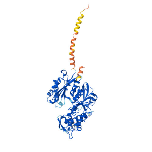RCSB PDB - AF_AFP80595F1: Computed structure model of Apyrase