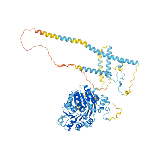 RCSB PDB - AF_AFP93008F1: Computed structure model of DEAD-box ATP ...