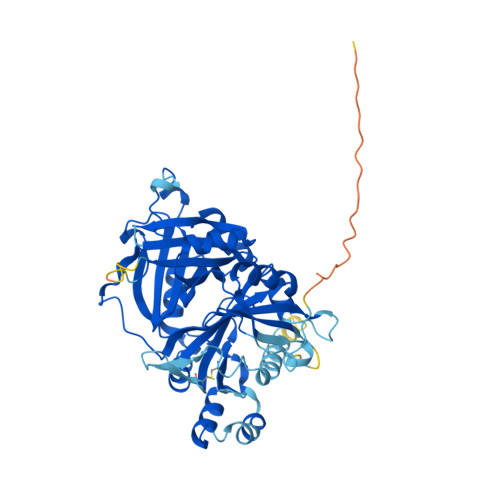 RCSB PDB - AF_AFP93836F1: Computed structure model of 4 ...