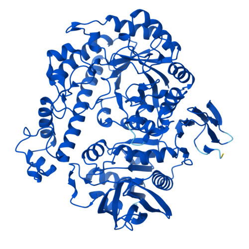 RCSB PDB - AF_AFP94804F1: Computed structure model of Beta ...